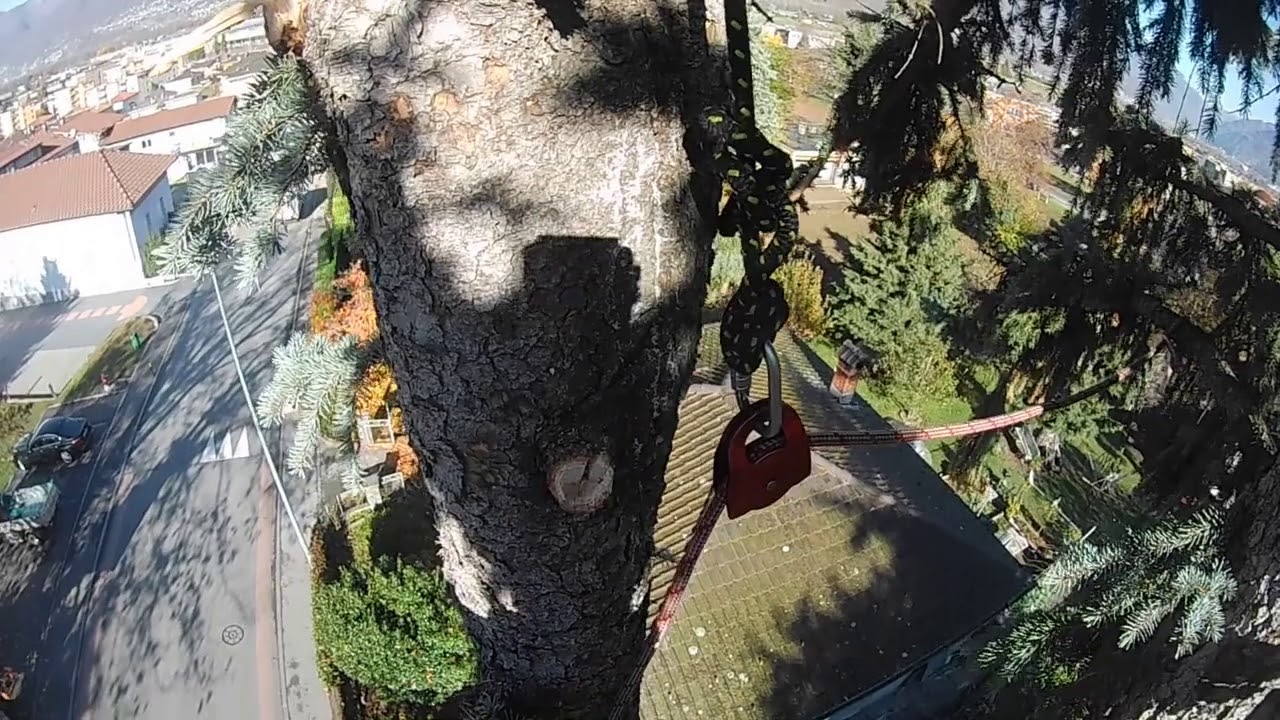 Christmas Tree Rigging Youtube