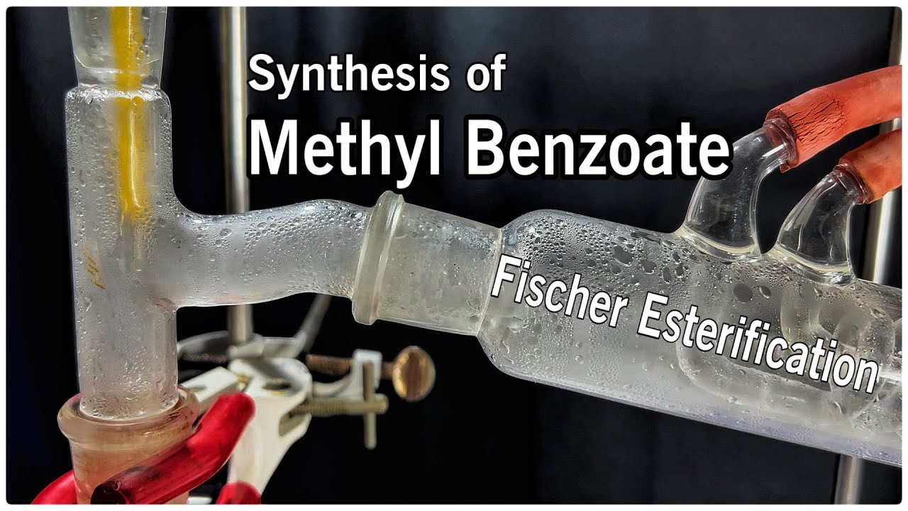 Methyl Benzoate By Fischer Esterification
