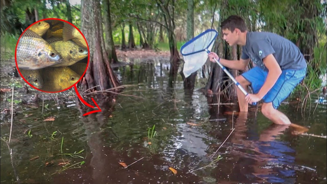 Saving Fish In Rain Storm Puddle Youtube