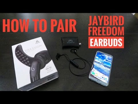 How To Connect Jaybird Earbuds Quick Pairing Guide My Tech Grid