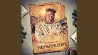 Fortunator Tshamutshakata Official Audio Feat Dalom Kids Fortunator Mp3 ...