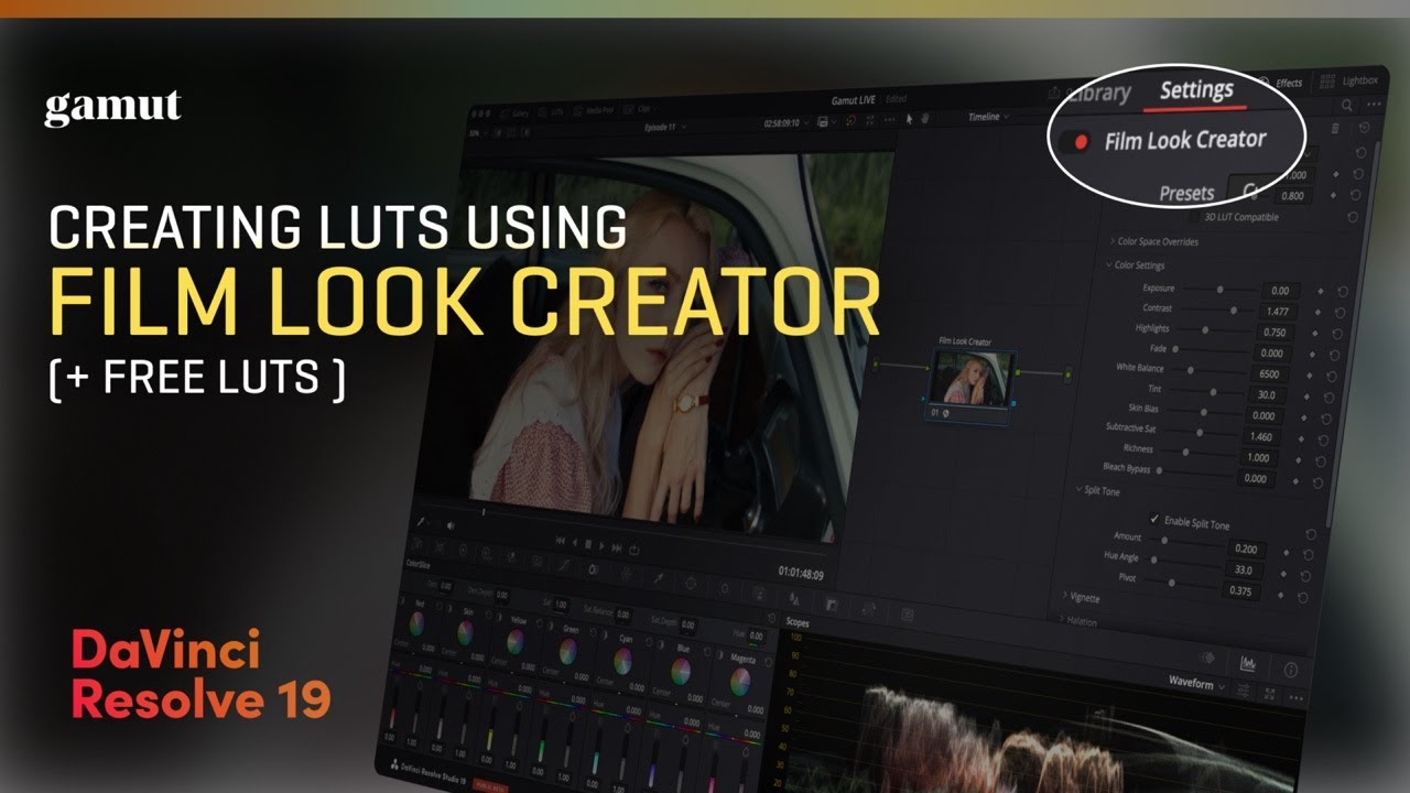 Creating Luts Using Film Look Creator Free Luts Davinci Resolve 19