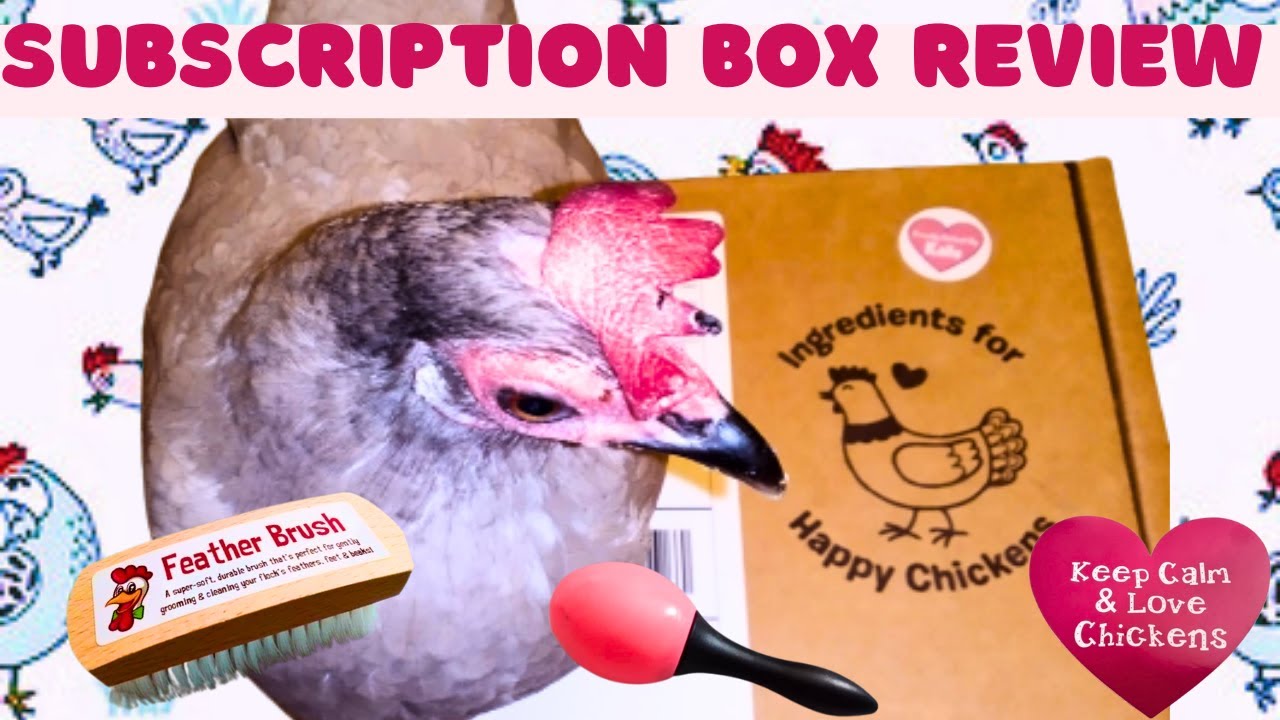 Best Chicken Subscription Box At Joanne Bender Blog