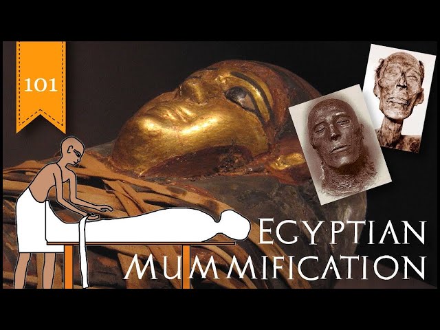 Steps To Make A Mummy In Ancient Egypt Infoupdate Org