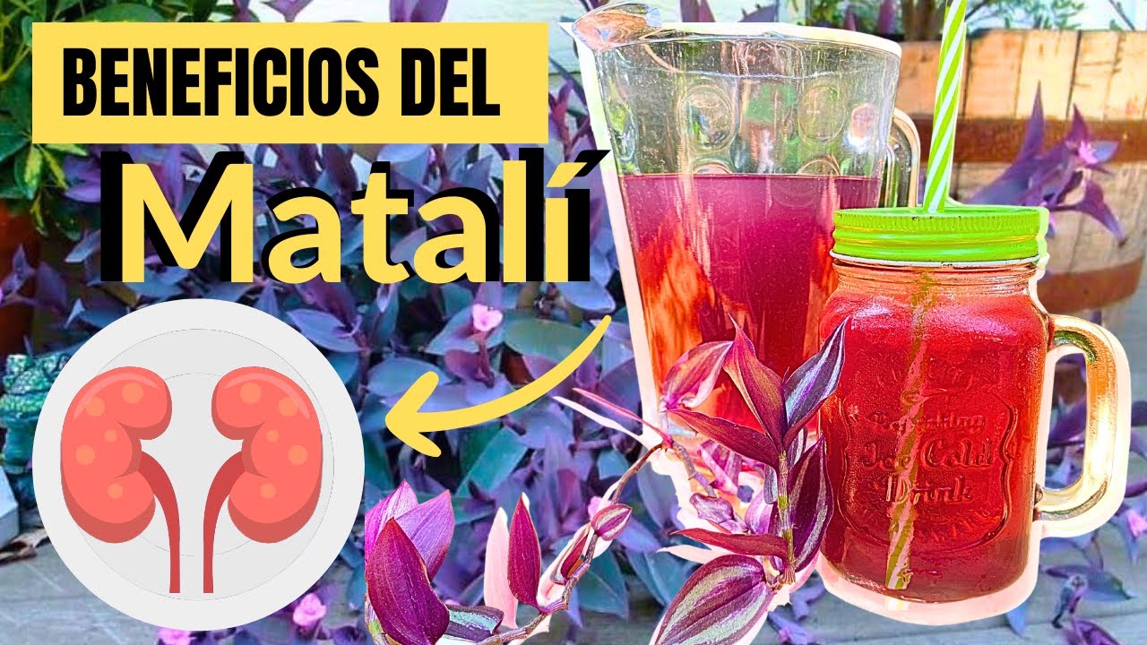 Muchos Tiran Esta Planta 験 Sin Saber Que Es Curativa Y Mucho Mﾃ S 舒