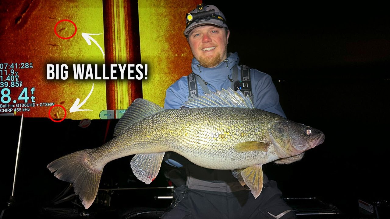 Catching Big Pre Spawn Walleyes On Green Bay At Night Youtube