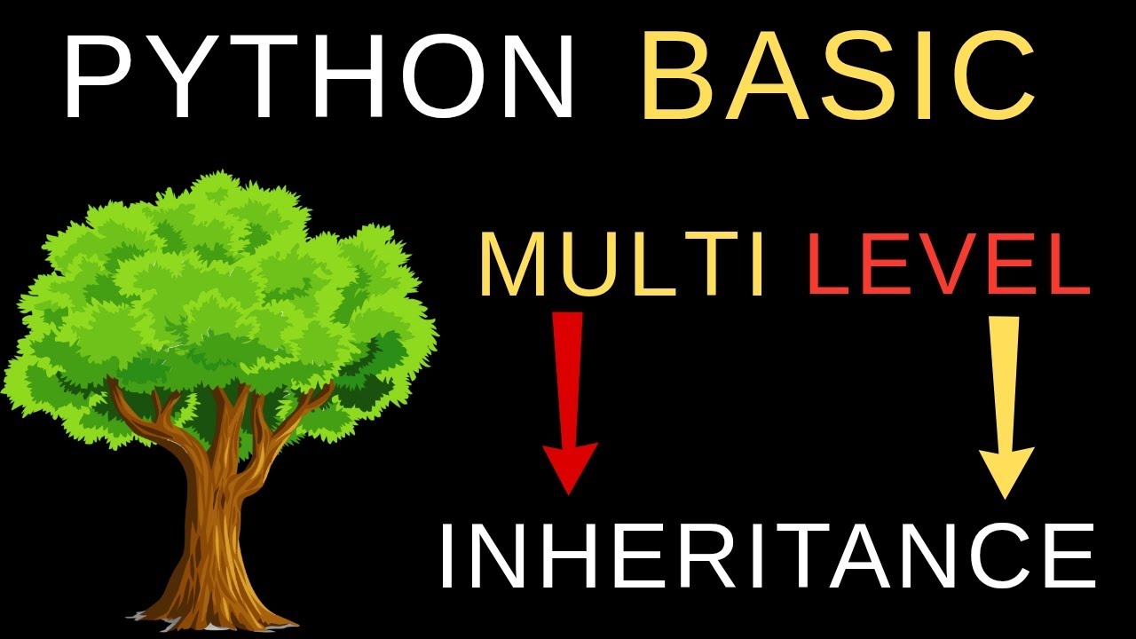 Lecture 62 Multi Level Inheritance In Python Python Beginner Course