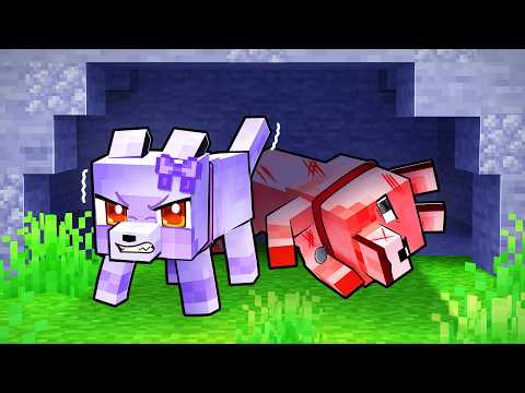 Saving A Hurt Wolf In Minecraft Realtime Youtube Live View Counter рџ ґ