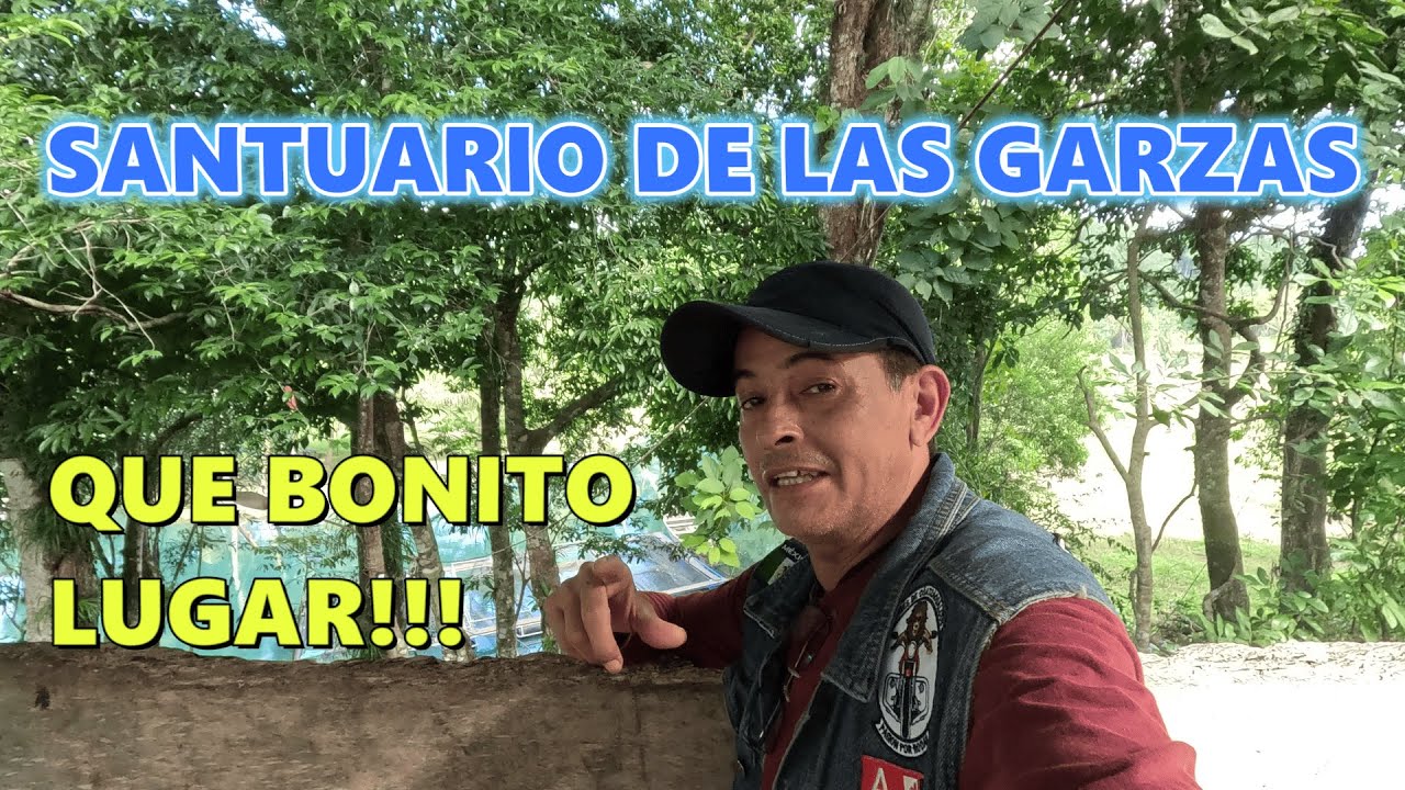 Santuario De Las Garzas Acompañanos A Este Hermoso Lugar Leones En