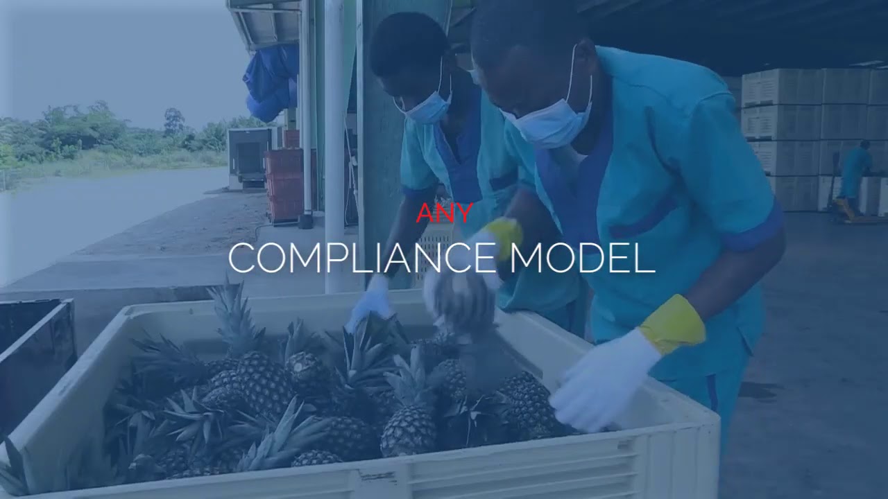 Computec Processforce Quality Control Youtube