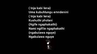 Umafikizolo Inja Kabi Lena Lyrics Ntando Ngcobo Mp3 Music & Mp4 video ...
