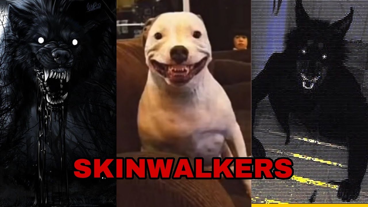 Skinwalker Compilationвђјпёџвђјпёџ Youtube
