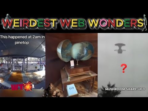 Weirdest Web Wonders Vol 35 Youtube