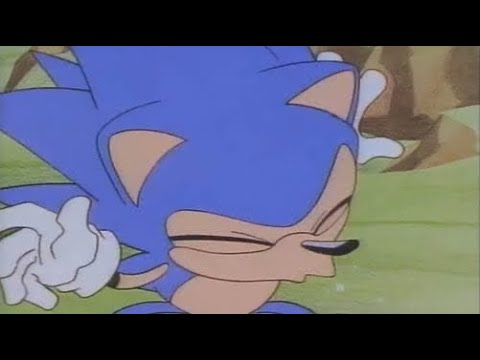Hedgehog Sneeze Youtube
