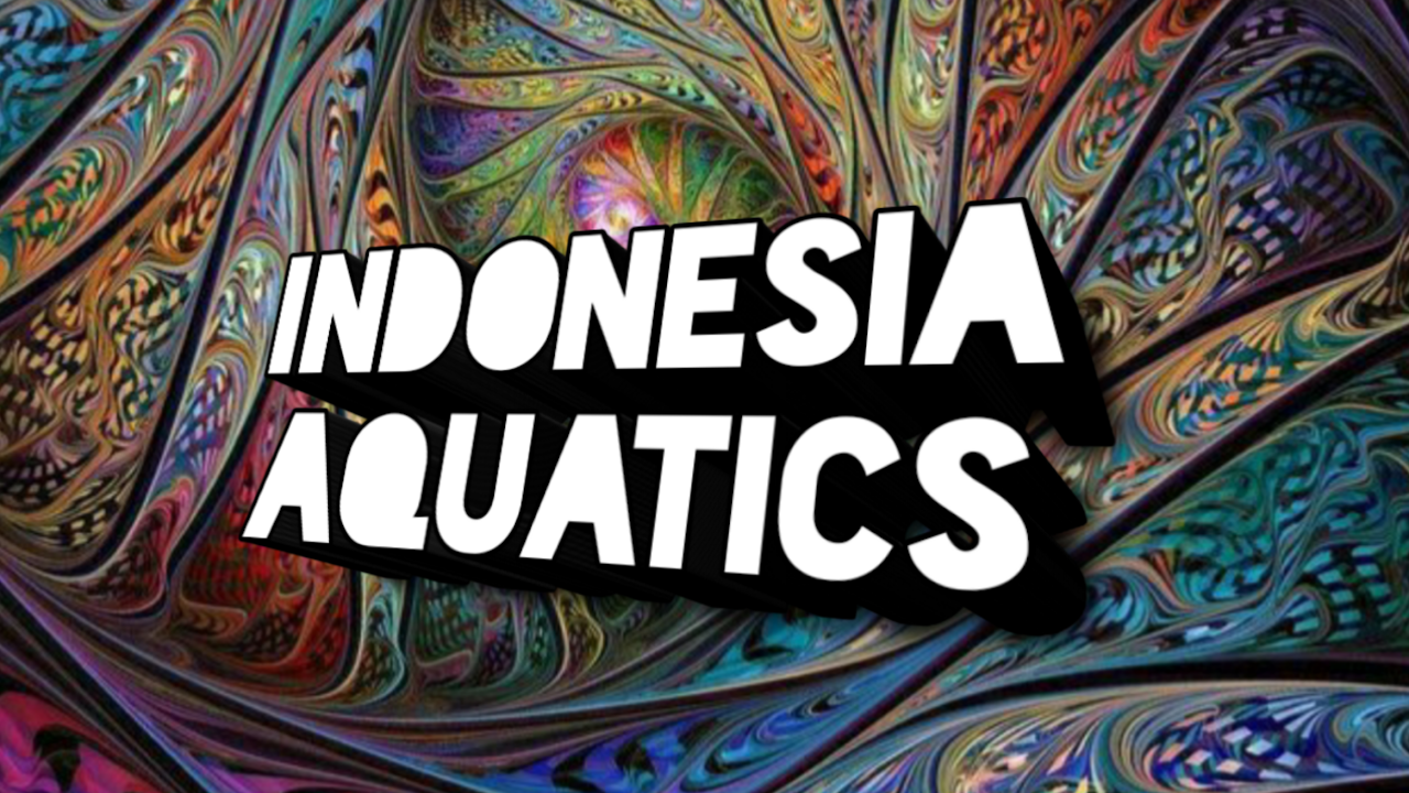 Live Streaming Indonesia Aquatics Youtube
