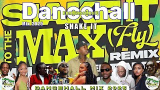 Dancehall Mix 2025 Mp3 Music & Mp4 video downloads