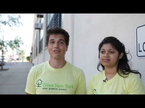 Trees New York S Young Urban Forester Internship Youtube