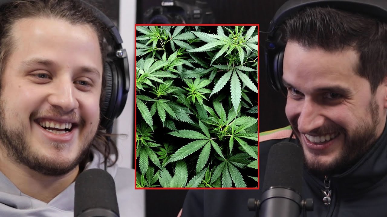 Adrian Marcelo Explica Los Diferentes Tipos De Marijuana Y Como