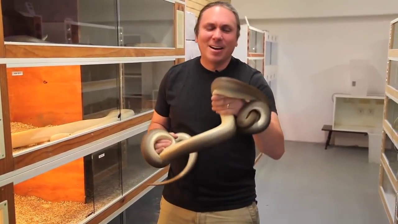 Python Bites Snakebytestv Youtube