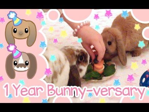 1 Year Bunny Versary Party Peachie Buns Youtube