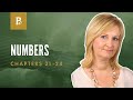 Numbers 21 24 Balaam And Balak Through The Bible With Pastor Paul Mp3 ...