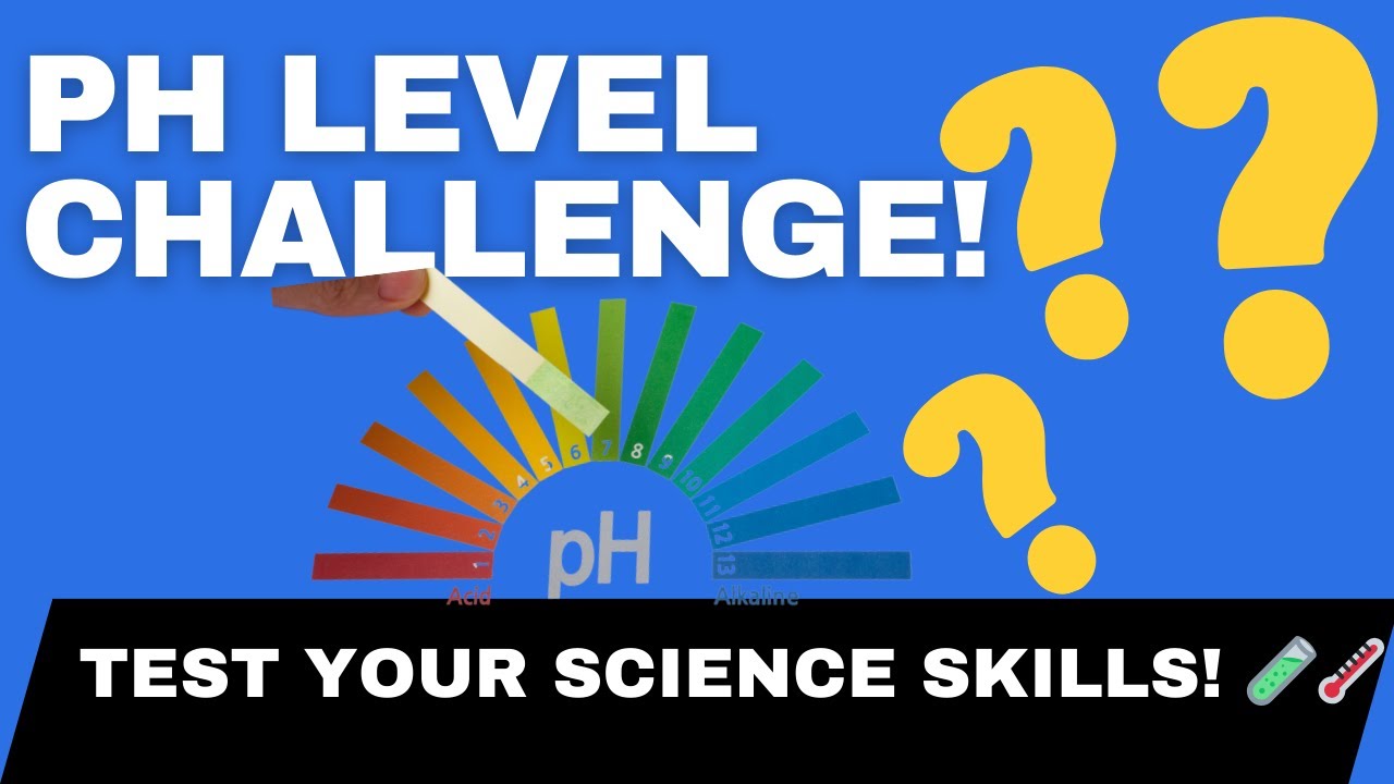 рџ є Essential Ph Values Quiz рџњўпёџ Test Your Knowledge Of Everyday