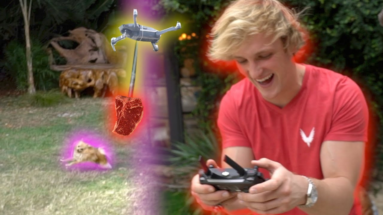 Fishing For My Dog With Drone Bait Youtube