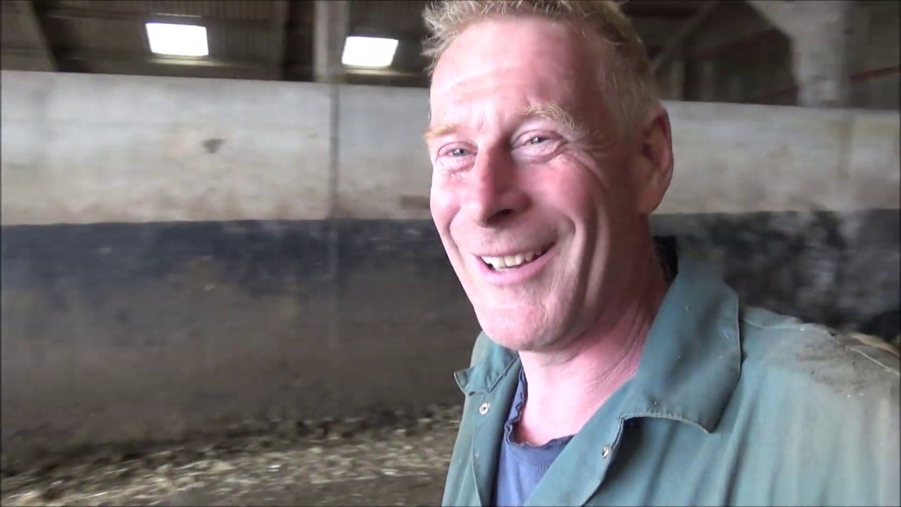 Update On Silage Making Youtube