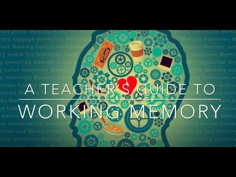 A Teacher S Guide To Working Memory Youtube
