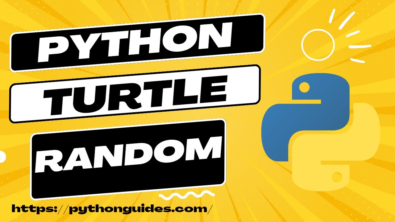 How To Create Random Function Python Turtle Random Youtube