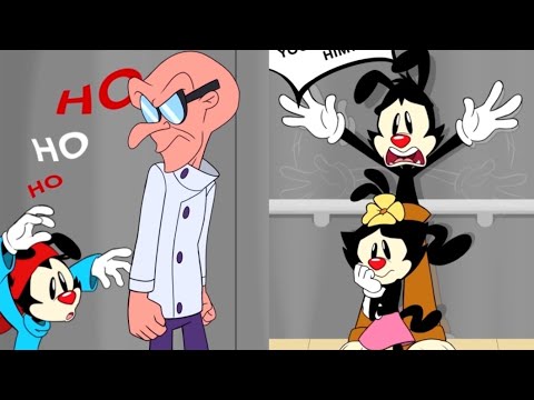 Stuck In An Elevator Animaniacs Comic Dub By Knahriko Youtube