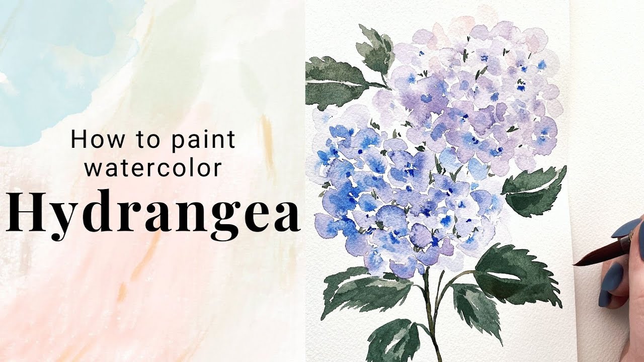 How To Paint Hydrangeas In Watercolor At Steven Martines Blog