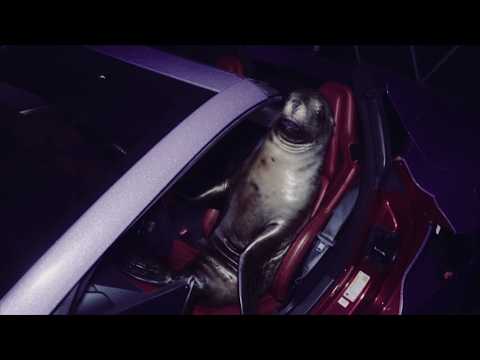 Bleood – I Love Seals Versuri | Versuri.org
