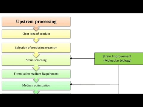 Upstream Processing Youtube