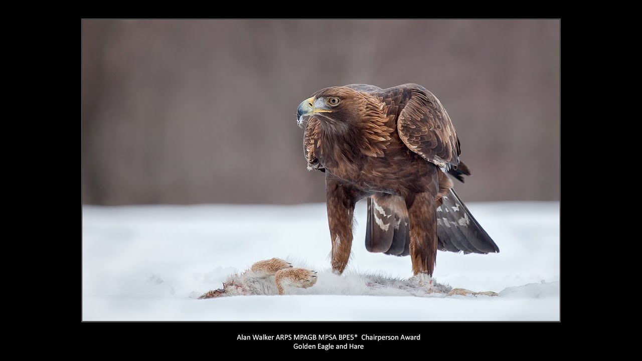Bg Bpe 2023 All Awarded Images Youtube