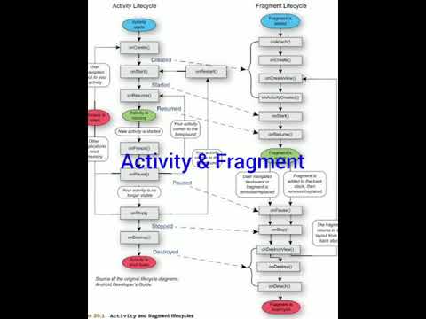Activity Fragment Lifecycle Android Shorts Interview Youtube