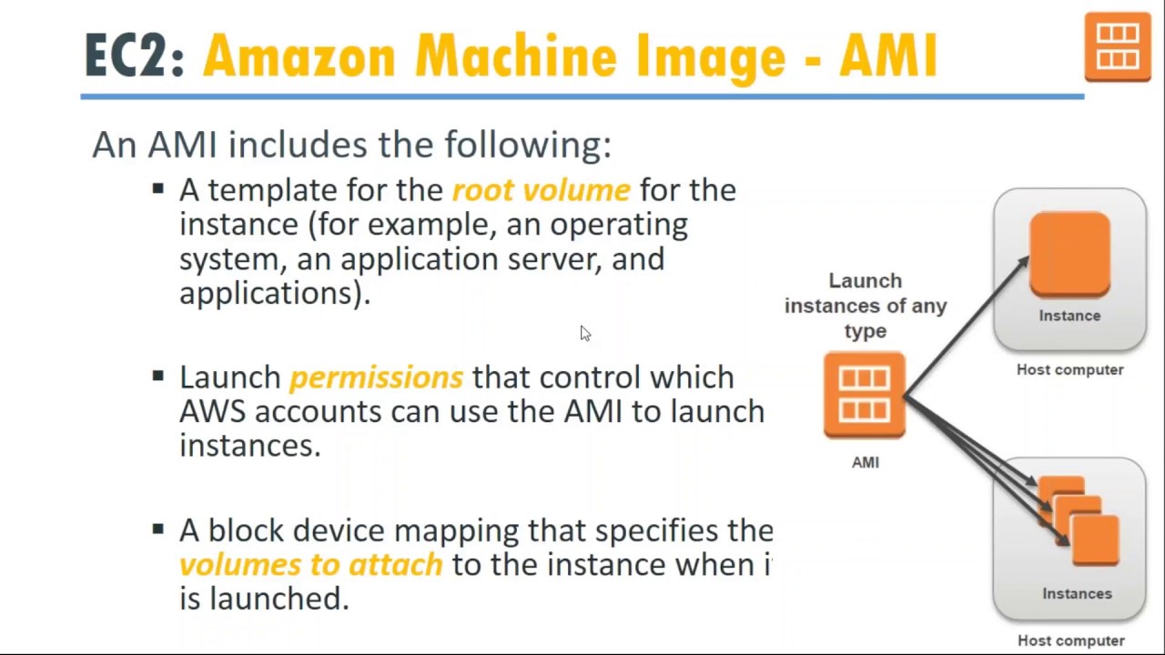 Amazon Machine Sizes At Stanley Davila Blog