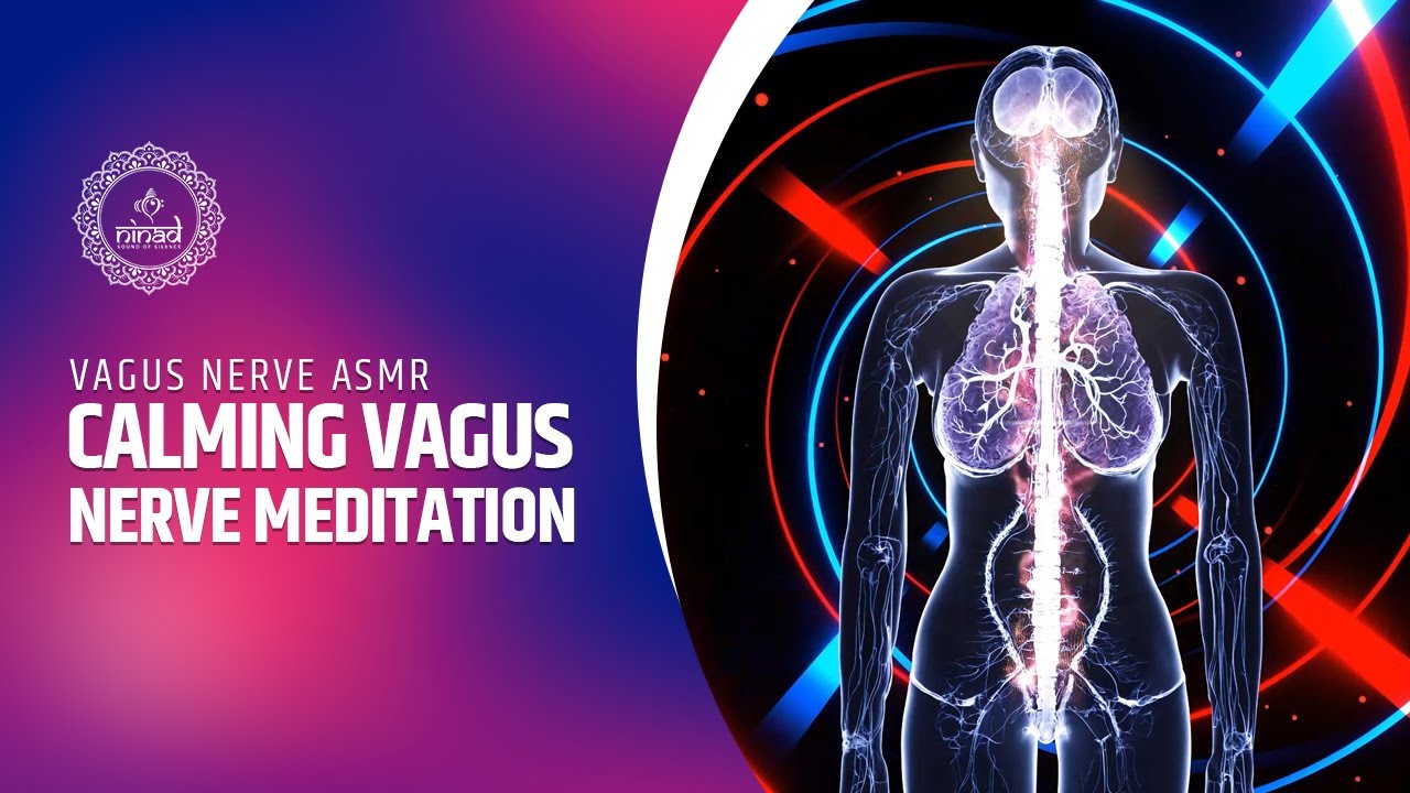Calming Vagus Nerve Meditation Vagus Nerve Asmr Relax And De Stress