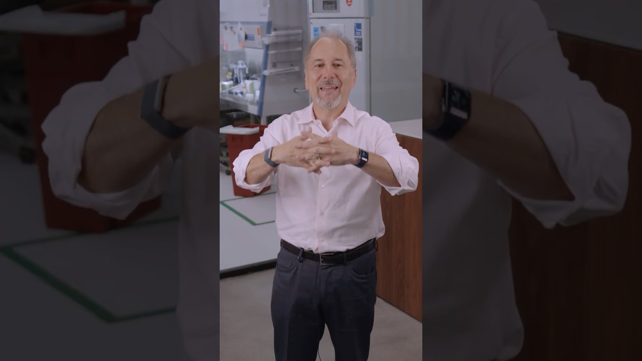 Creating The World S First Crispr Medicine For Sickle Cell Disease