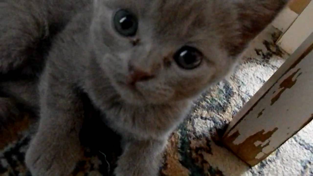 Dscn0128 Mov Youtube