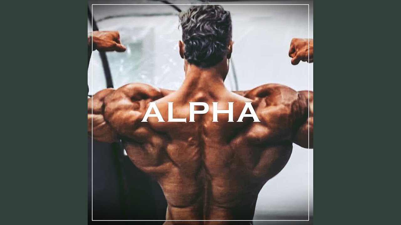 Alpha Youtube Music