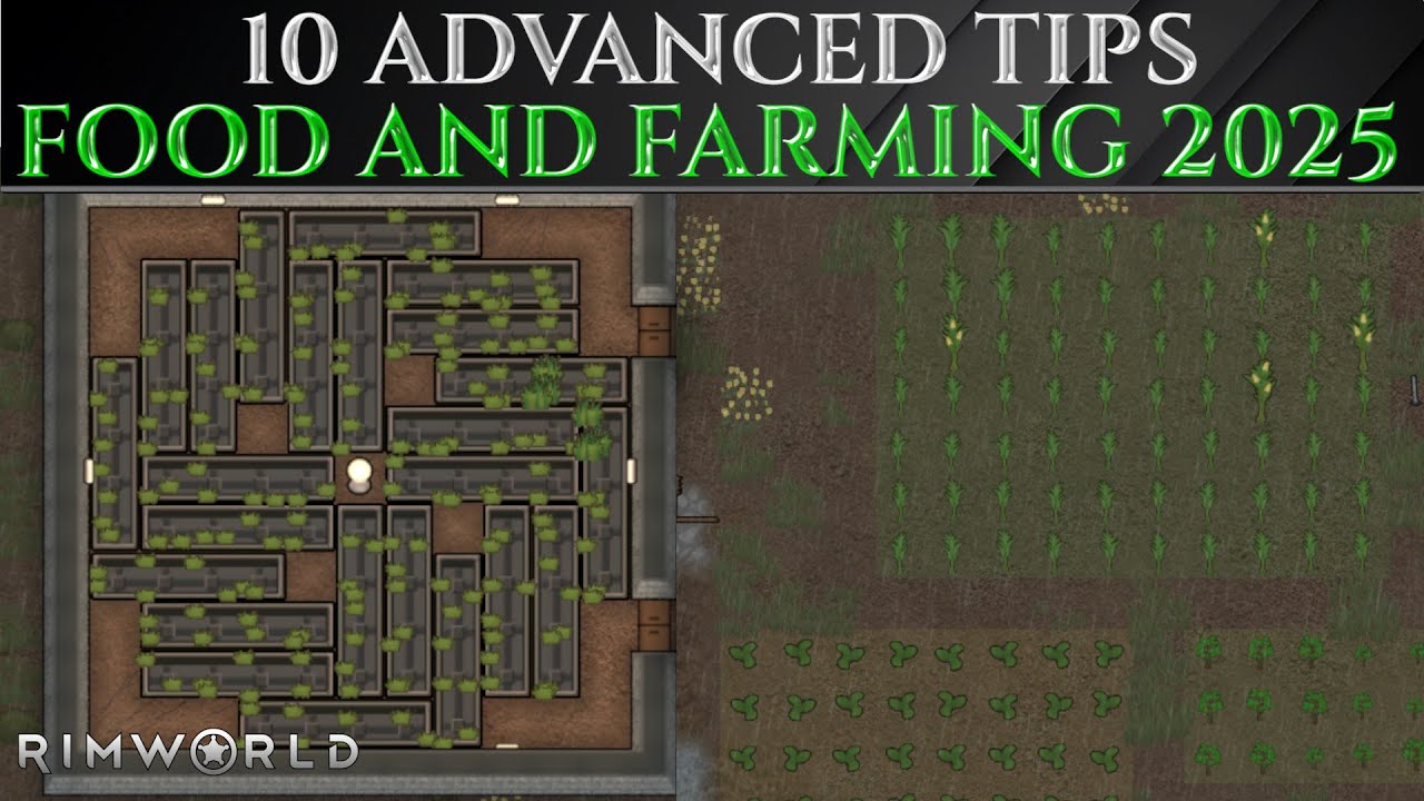 10 Advanced Tips For Easy Food Farming 2025 Rimworld 1 5 Guide Youtube