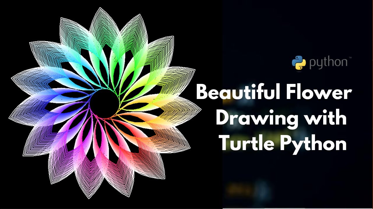 Beautiful Flower Drawing With Turtle Python Youtube