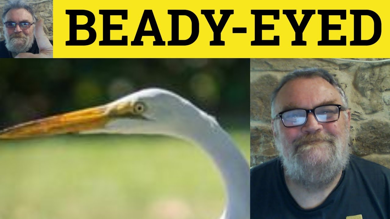 рџ µ Beady Meaning Beady Eye Defined Beady Eyed Examples Idioms