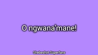 Shebeshxt Ngwana Mane Lyrics Feat Mckay Johnson Naqua Sa Mr Diego Lyric ...