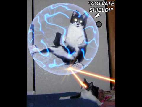 The Best Of Funny Lolcats Lolcats Know Your Meme