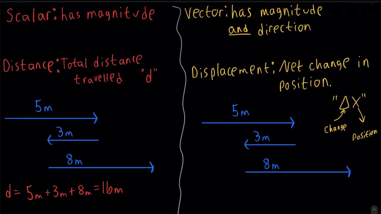 Scalar Vs Vector Distance Vs Displacement Youtube