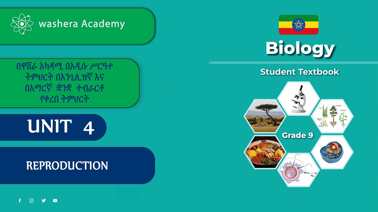 Biology Grade 9 Unit 4 Lesson 3 Vegetative Propagation Youtube