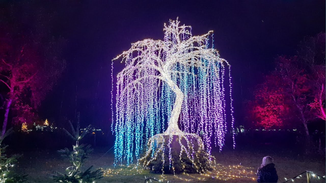 Magical Tree Frozen Kingdom Lumagica Youtube
