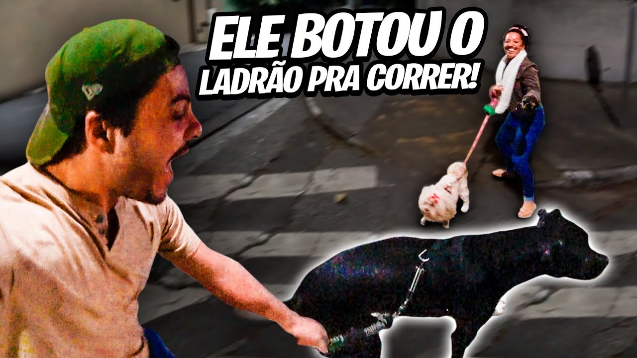 Nosso Pitbull Botou O Bandido Pra Correr Youtube